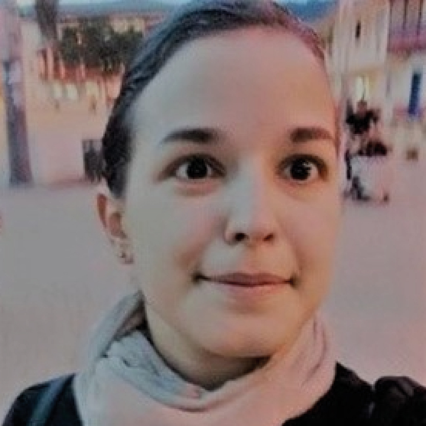 Nosotros - El Armadillo